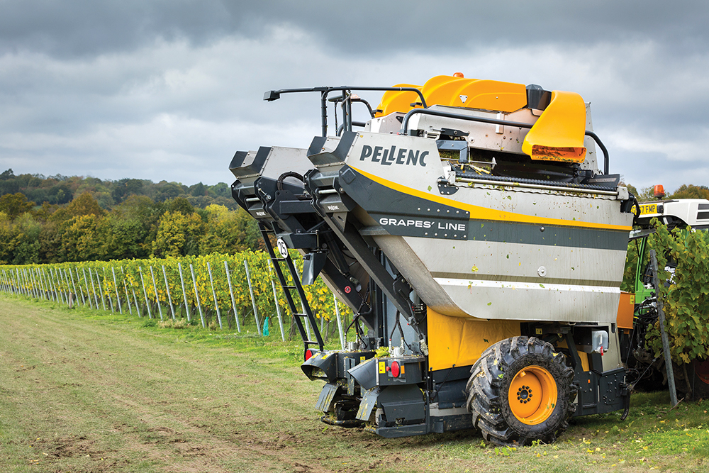 Harvest 2020 is now in gear - Vineyard Magazine