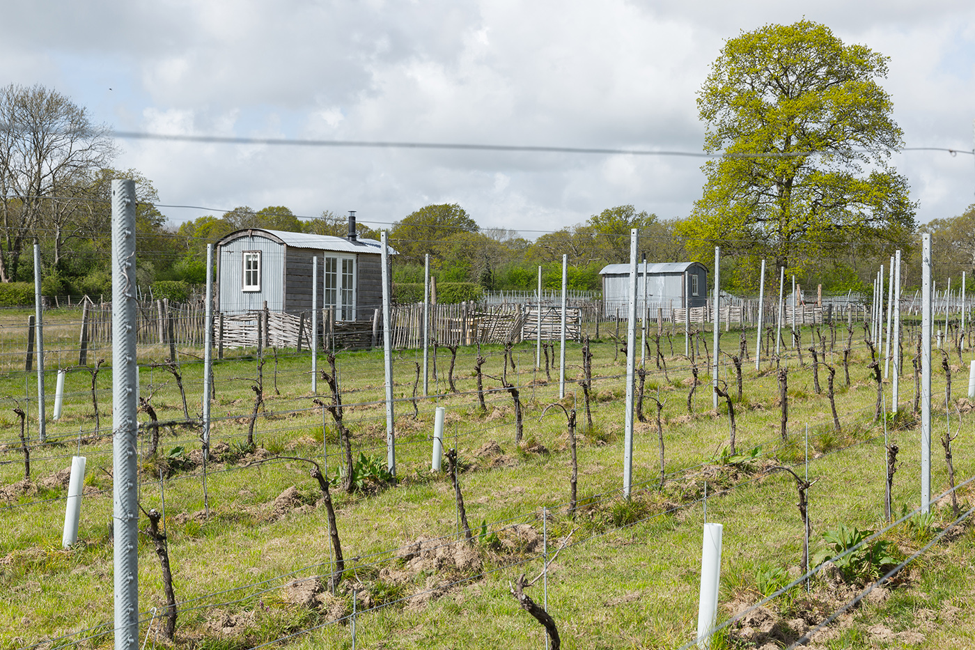 Naturally adventurous - Vineyard Magazine