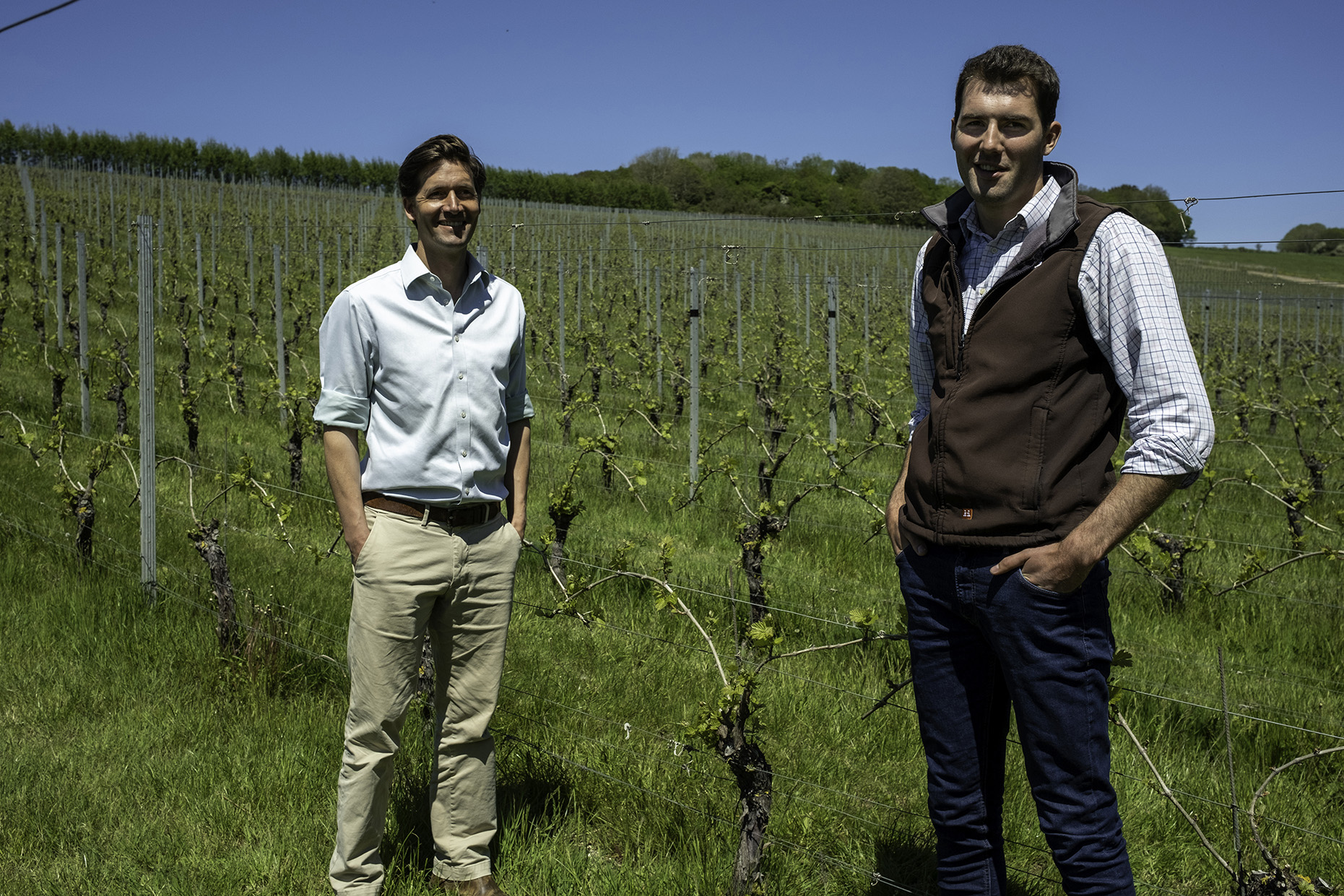 Establishing a legacy of excellence - Vineyard Magazine