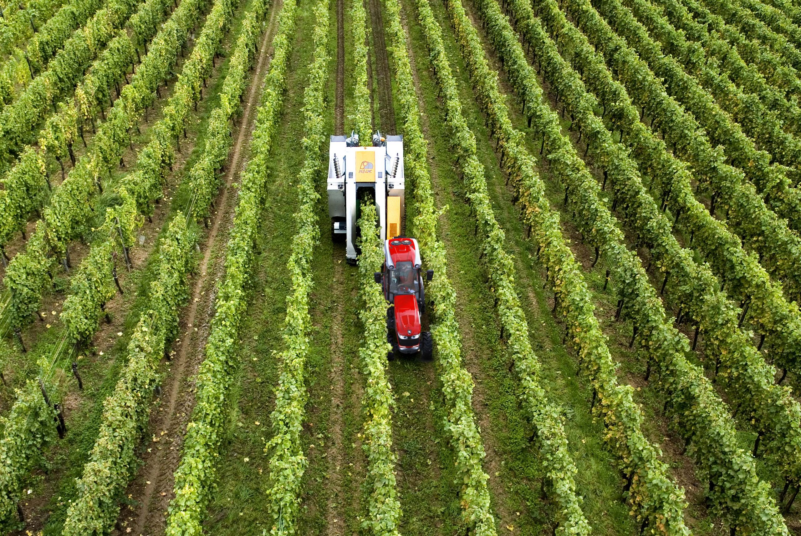 Driving your growth - Vineyard Magazine
