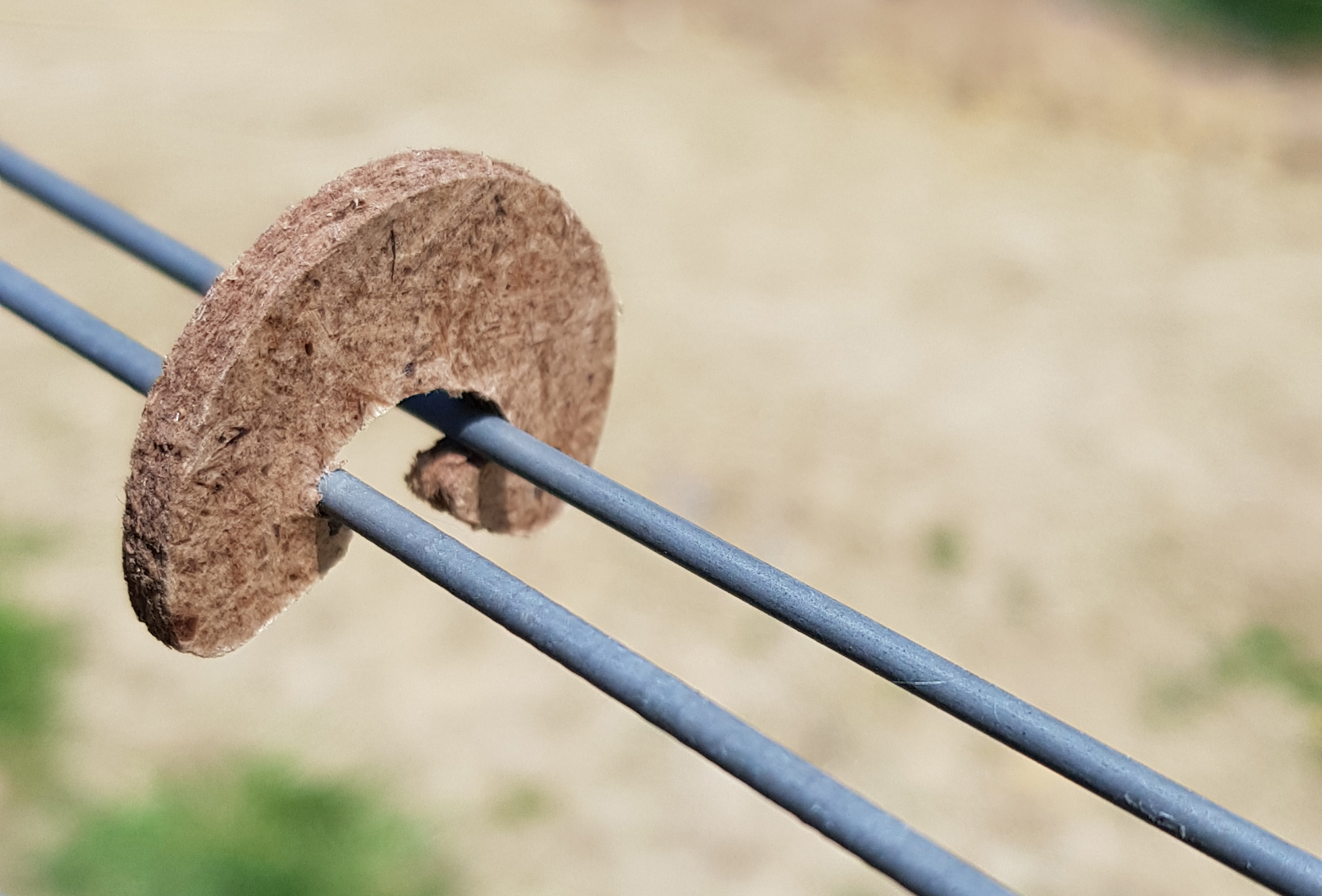 Vertical Shoot Positioning Archives - Vineyard Magazine