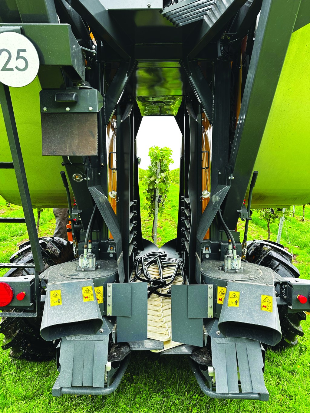 Shaking it up - Vineyard Magazine