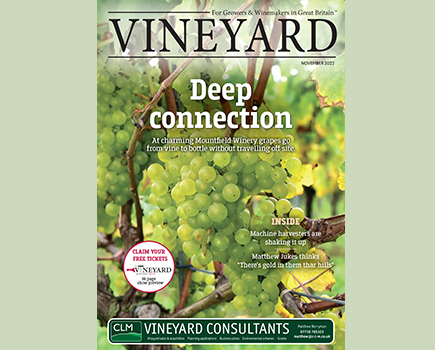 November 2022 - Vineyard Magazine