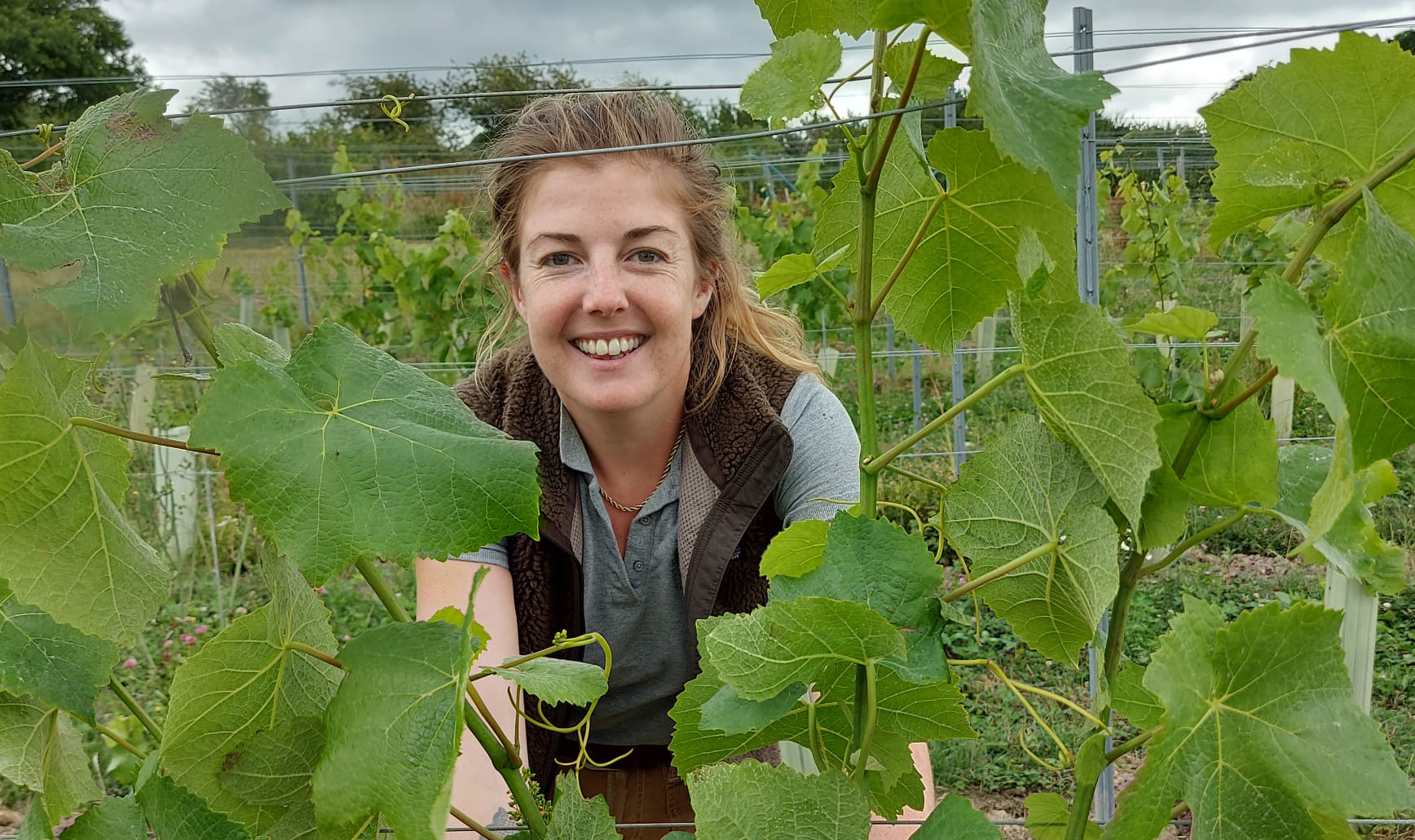 Vinescapes launch the industry’s first ever Graduate Programme ...