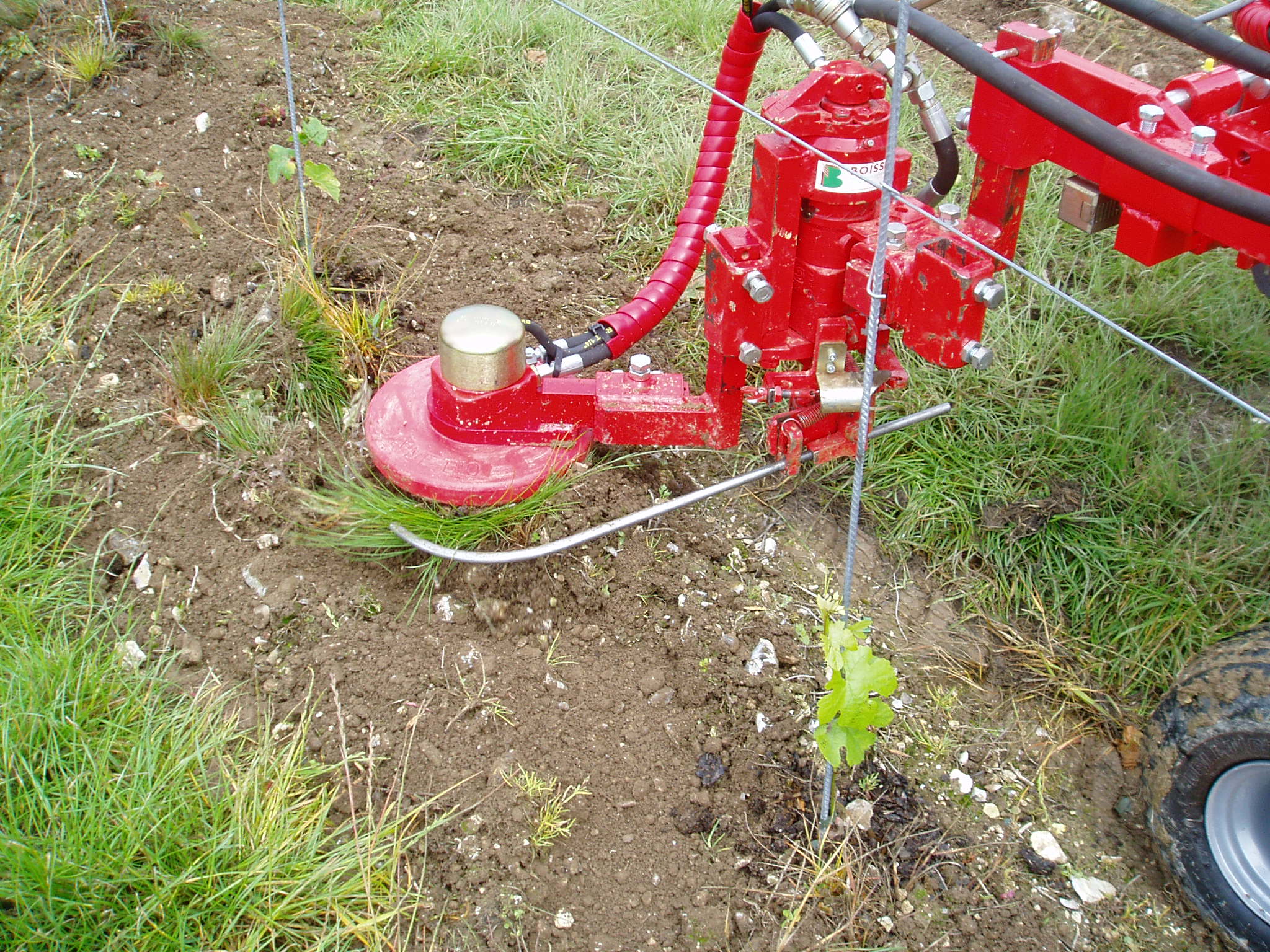 Under vine weed control - Vineyard Magazine