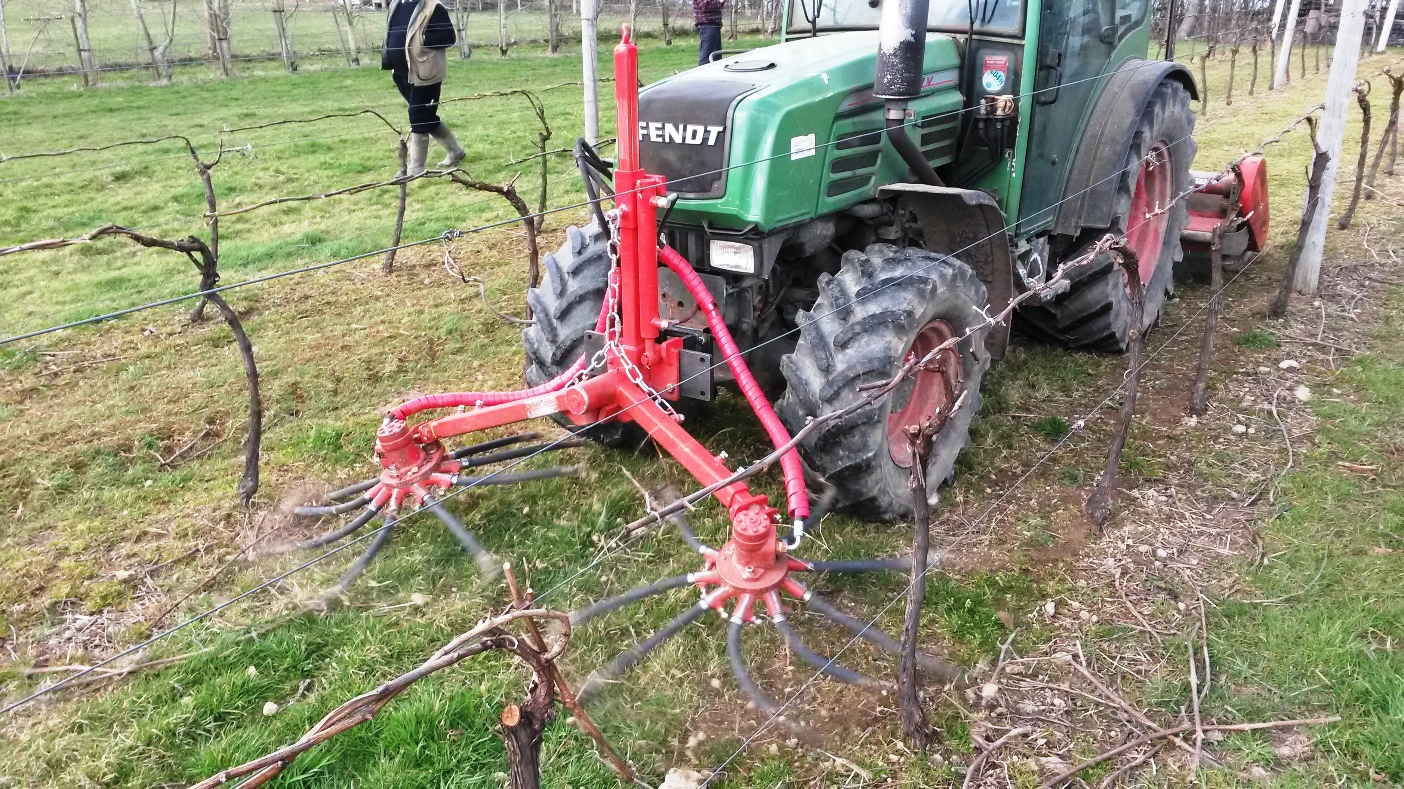 Winter pruning tools - Vineyard Magazine