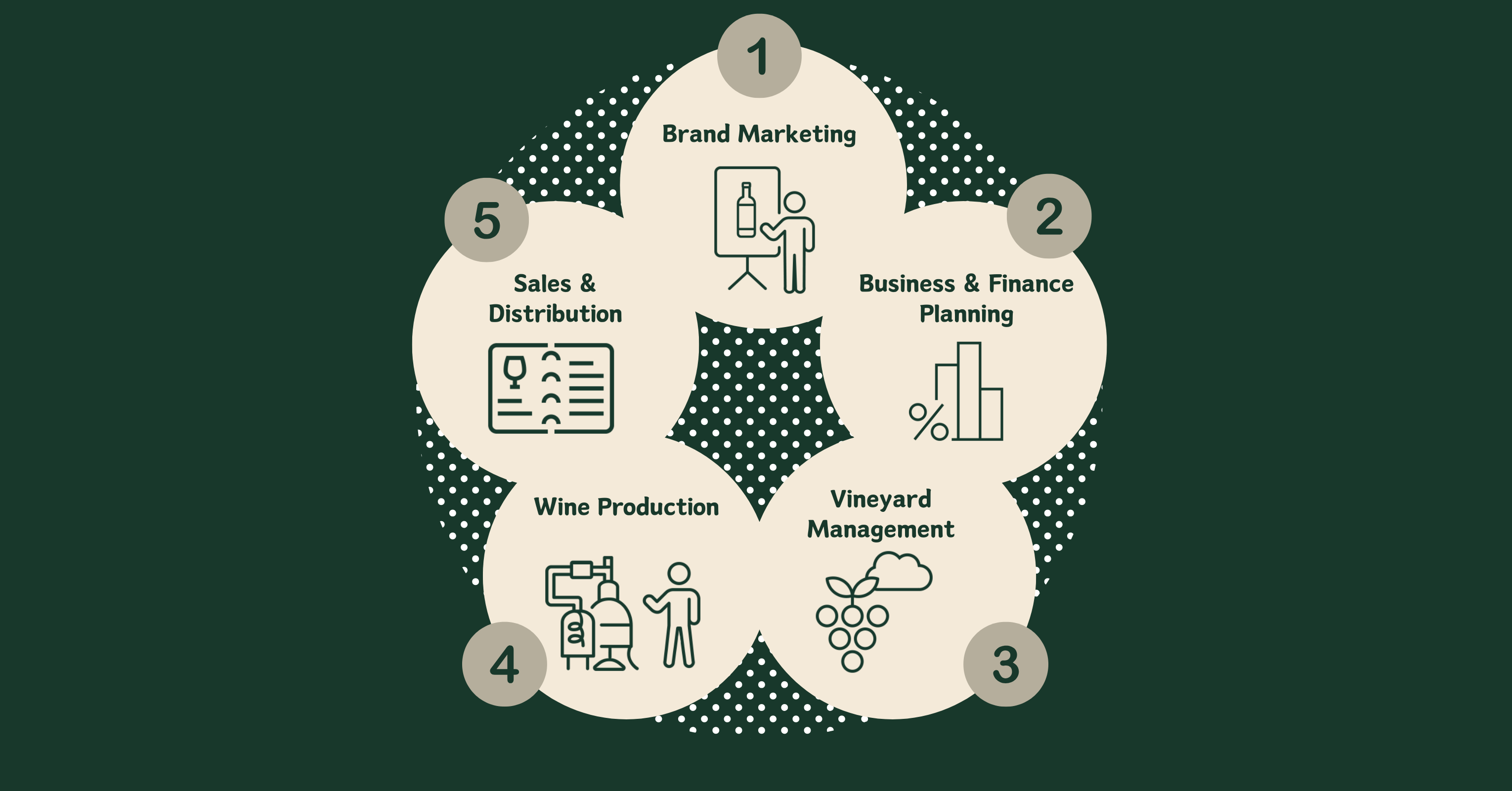 Investing for success - Vineyard Magazine