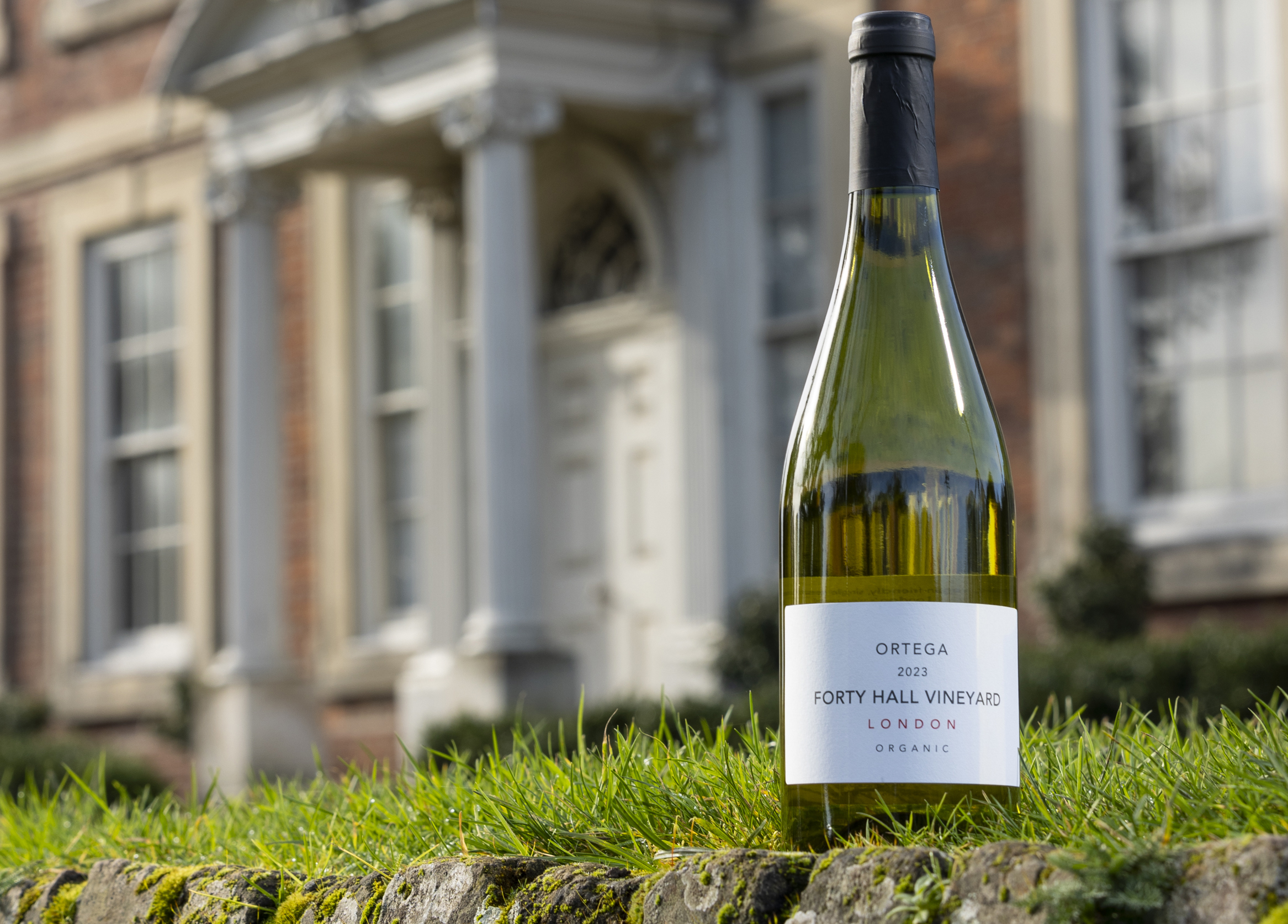 Fortitude in every acre - Vineyard Magazine