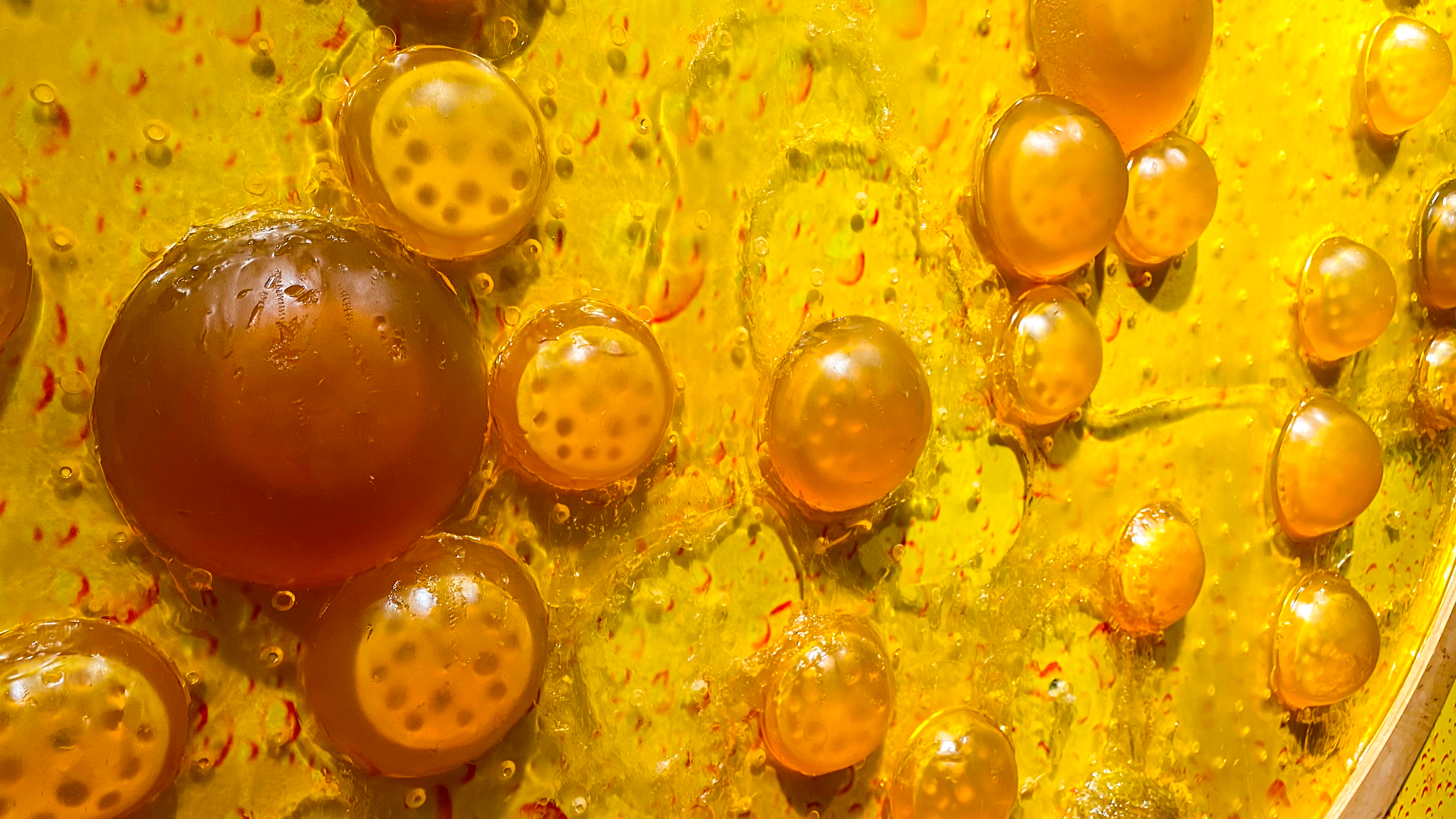 The fungal frontier: friends and foes - Vineyard Magazine