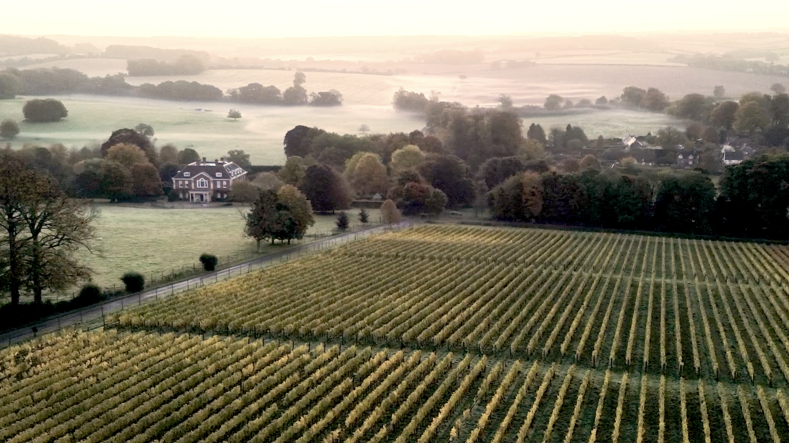 Candover Brook released film on regenerative viticulture - Vineyard ...