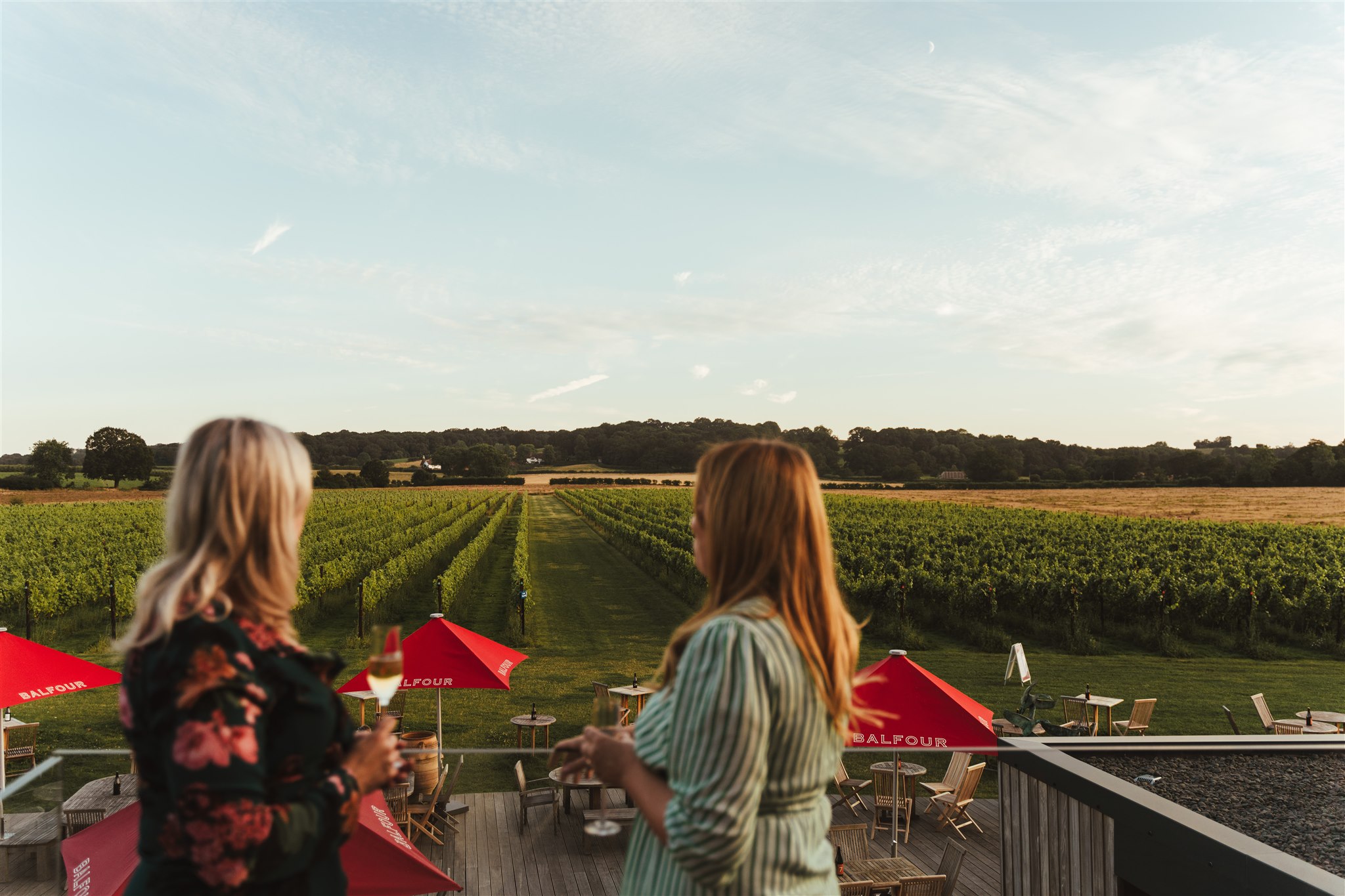 New digital gateway to English and Welsh vineyards - Vineyard Magazine